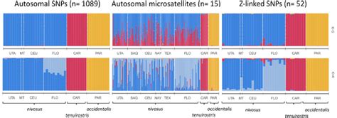 Results Of Bayesian Clustering Analyses Of Snowy Plovers Using Three Download Scientific