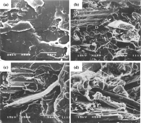Sem Micrographs Of Fractured Surface Of Neat Pla And Chopped Kneafpla