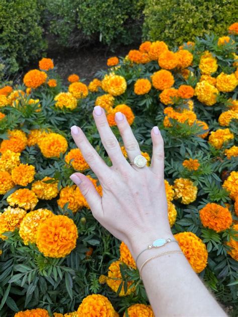 Ut Austin Class Ring 💍💖 Ring Day Rings Ceremony Grad Pics