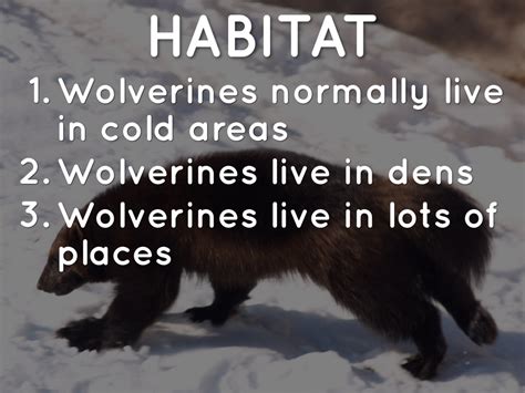 Wolverines By Ty Beyer