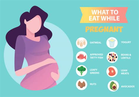 1800 Pregnancy Nutrition Stock Illustrations Royalty Free Vector