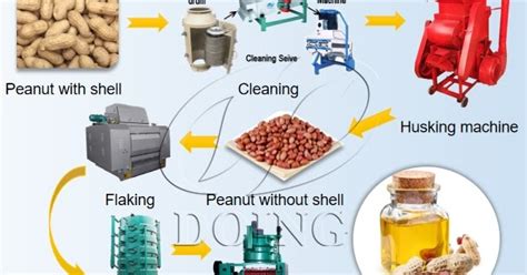Cooking Oil Extraction Machinery Groundnut Oil Processing Steps Groundnut Oil Production