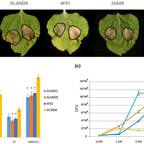 Outline Of Pamp‐triggered Immunity Pti And Effector‐triggered Download Scientific Diagram