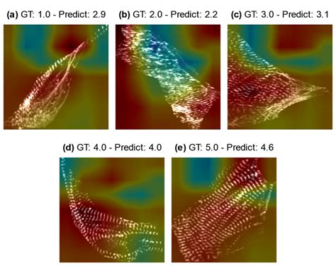 Visualization Of Grad Cam Heatmaps For Different Examples Download Scientific Diagram
