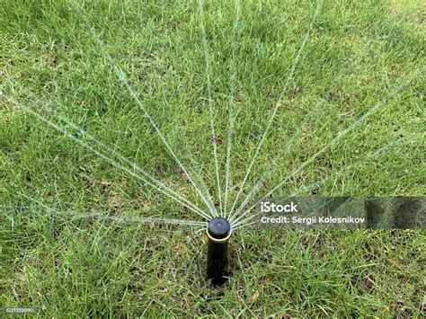 잔디에 물을 위한 스프링클러 마당에 녹색 잔디의 자동 급수 녹색 커버의 성장을위한 수분 농업에 대한 스톡 사진 및 기타 이미지