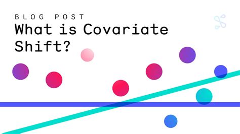 What Is Covariate Shift Seldon