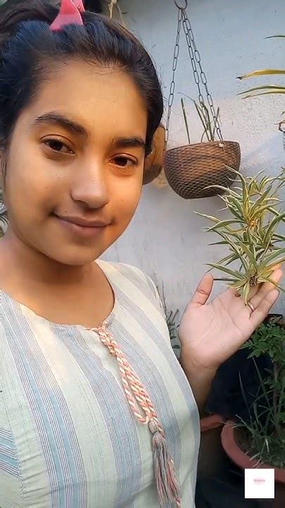 আমার ছাদ বাগানের গাছ গুলো তে গাছ ভরে কুড়ি এসেছে Shorts Garden