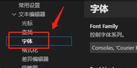 Vscode修改字体大小 360新知