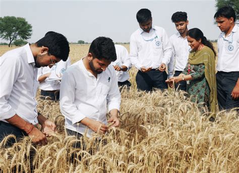 Sanskaram University Admission 2025 Fees Courses Placement Ranking