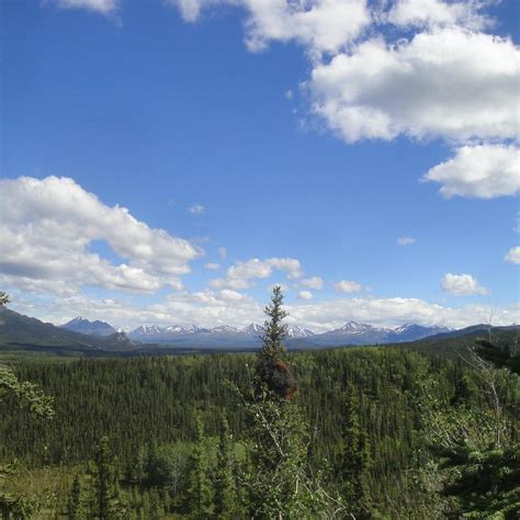 Rock Creek Trail All You Should Know Before Going 2026 W Reviews