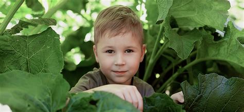 Chatgpt Plus как купить и оплатить подписку в России