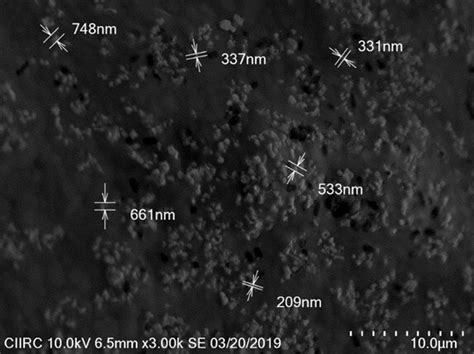 Image Showing The Particle Size Of Selenium Nanoparticles Download Scientific Diagram