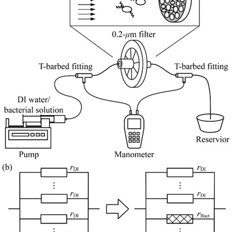 A Schematic Diagram Of The Experiment Setup One End Of A 02 µm
