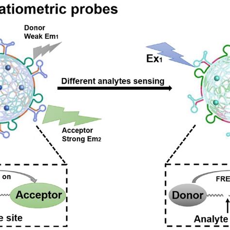 Schematic Illustration Of The Sensing Principle Of Ratiometric