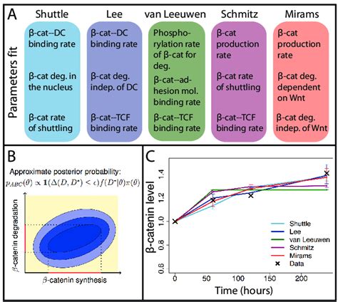 Figure S3 Bayesian Parameter Inference Of Wnt Signaling Models A Download Scientific