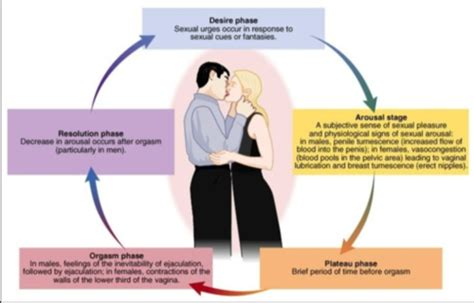Signs Of Sexual Arousal In Men