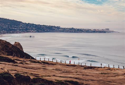 Blacks Surf Guide Surfline