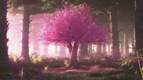 Anime Pink Tree Wallpapers 4k Hd Backgrounds On Wallpaperbat