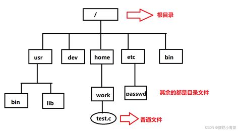 初识linux linux基本指令 一 liunx只能用非图形化操作吗 csdn博客