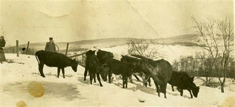 Daniel Korns Jr Farm Photos Somerset County Pa