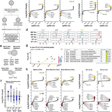 In Vivo Genome Wide Primary And Subsequent Validation Download Scientific Diagram