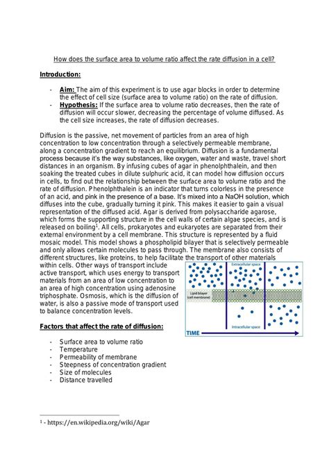 Diffusion Practical Lab Report Biology Year 11 Sace Thinkswap