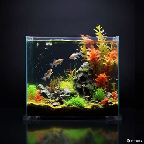 新手必看！4款高性价比鱼缸推荐，让你的鱼儿畅游无忧 鱼缸 什么值得买