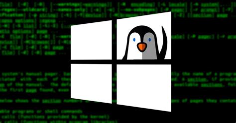 Commands And Advanced Management For Wsl 2 On Windows 11 Complete Guide