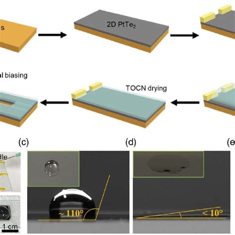 Schematic Diagram Of The Structure Of Graphene And Its Derivatives Download Scientific Diagram