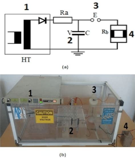 The Pulse Generator A Descriptive Schematic Of The Setup B The