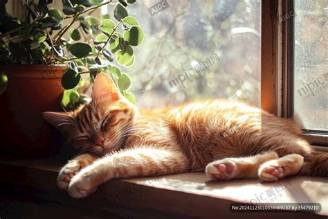 Ai创作图慵懒的橘猫 午后慵懒的猫咪 阳光下打盹 趴在窗台上 一只慵懒的橘猫 阳光下睡的猫 午后慵懒的猫 晒暖阳的猫 趴在窗户上 慵懒的阳光 晒太阳的猫咪 懒洋洋的小花猫 趴着慵懒休息 休息