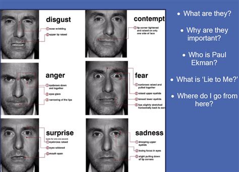 Micro Expressions — The Room Psy