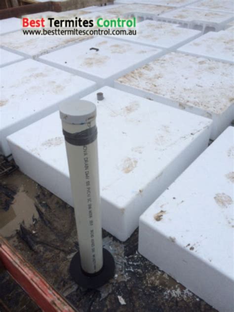 Homeguard Collars To Generations Best Termites Control