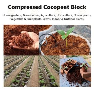 4 5kg Cocopeat Block Premium Coir Coco Peat Compressed Cocopeat Brick Garden Soil Bongkah Sabut