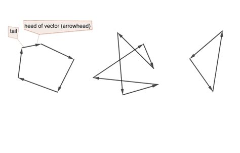 loop vector at collection of loop vector free for