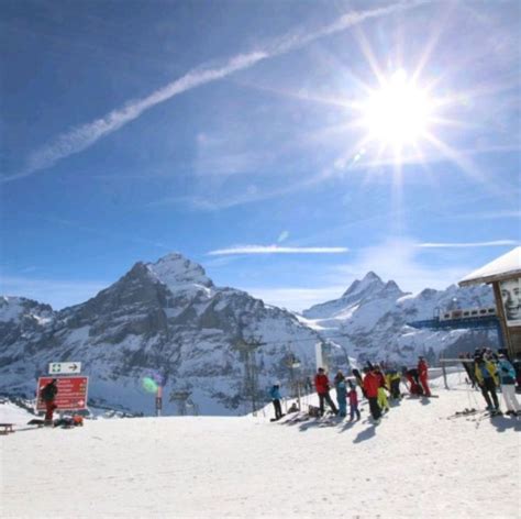 스위스 여행 그린델발트에서 융프라우 피르스트 글라이더and플라이어 트립닷컴 라우터브루넨 트래블로그