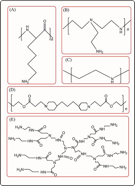 Polymers Examples