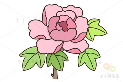 中国国花牡丹花简笔画 牡丹花简笔画花瓣 牡丹花简笔画简单 大山谷图库