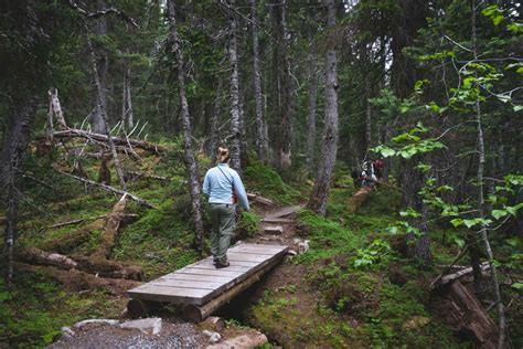 28 Amazing Things To Do In Juneau Alaska The Planet D