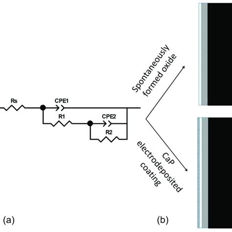 The Electric Equivalent Circuit Eec Used To Model The Impedance Download Scientific Diagram