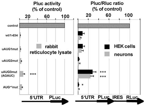 Mutational Analysis Of Upstream Open Reading Frames Individual