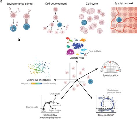 Single Cell Genomics Genome Scale Modelling