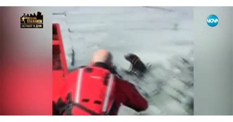 В САЩ проведоха драматична спасителна операция на куче