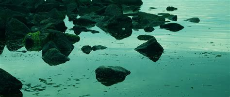 Gracile On Twitter Rjpeed8l8c Twitter