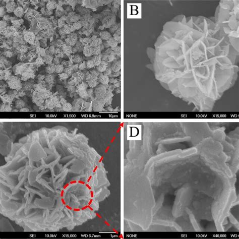 SEM Image Of SnS And CdSe SnS A Low Magnification SEM Image Of SnS Download Scientific