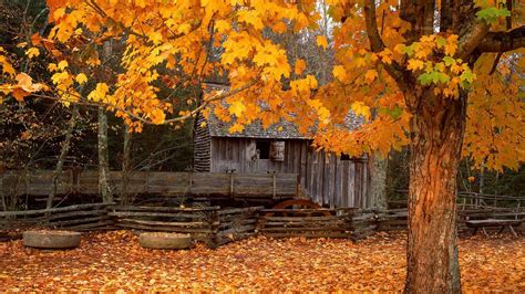 Free Autumn Screensavers Wallpapers Wallpaper Cave