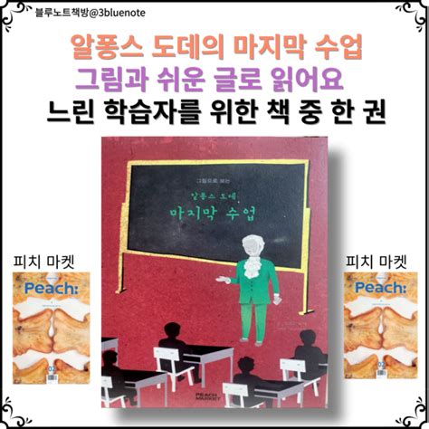 나와 느린독서 느린학습자를 위한 쉬운글그림문학도서그림으로 보는 알퐁스 도데마지막 수업신간소개