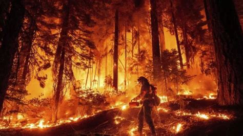 Incendios Dejan Ya 24 Muertos En Los Ángeles Donde Crece El Temor Por