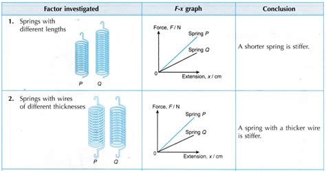 Understanding Elasticity A Plus Topper