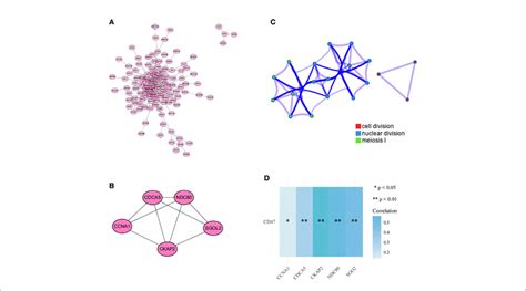 Selection Of Key Gene Modules A Ppi Network Of Overlapping Genes Download Scientific